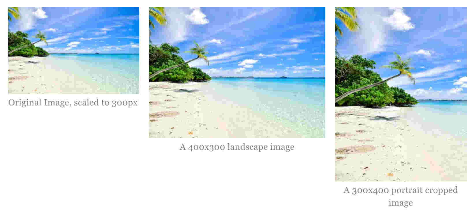 Spine Media Optimized content creation with ImageKit's smart crop