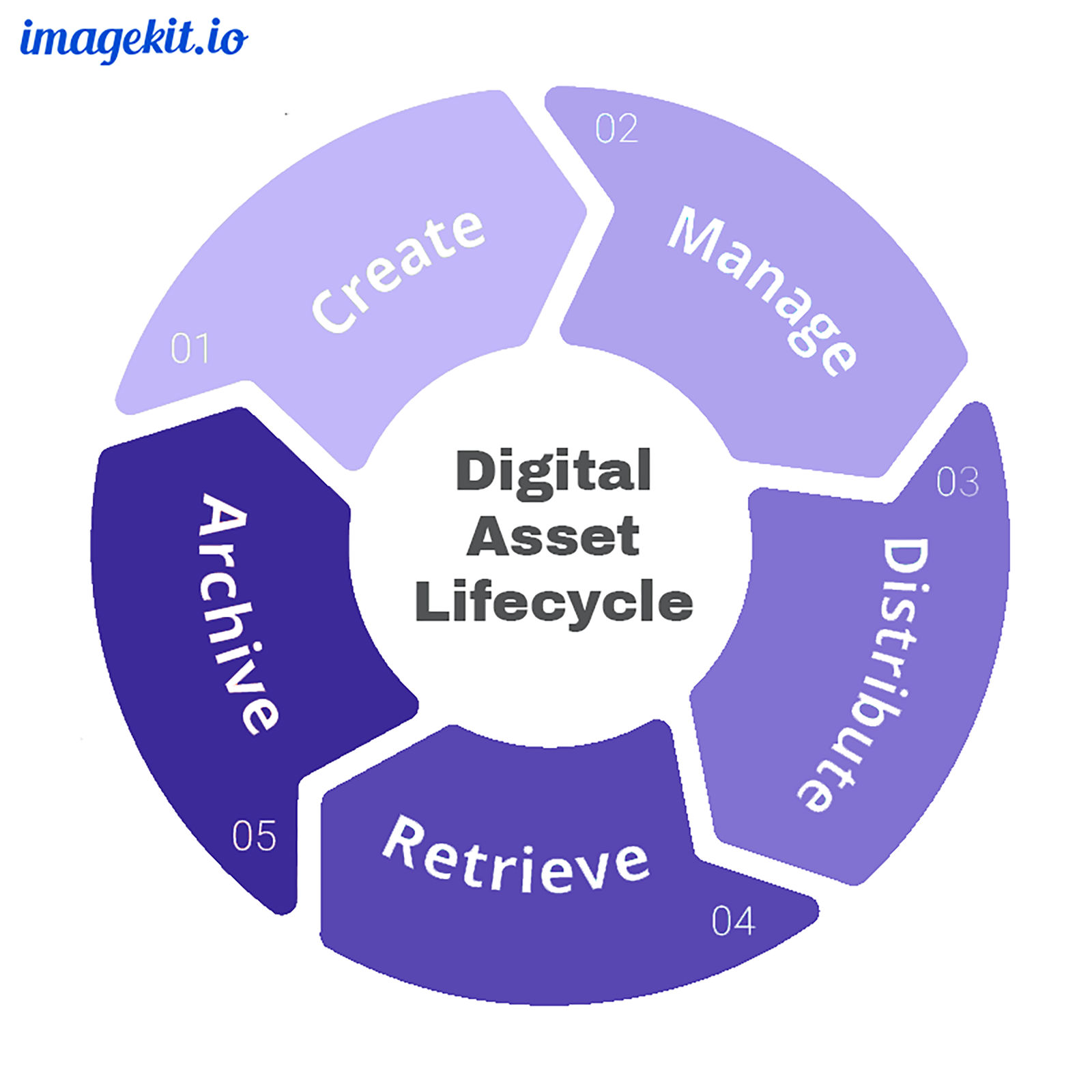 How to improve the digital asset lifecycle with Digital Asset Management (DAM)