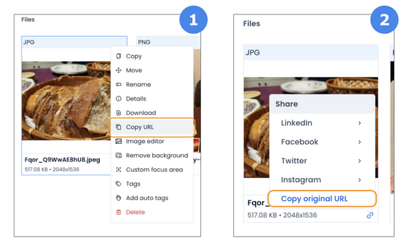 Progressive jpegs (PJPEG): the key to loading images faster on your website