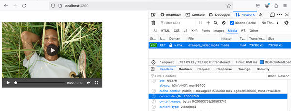 Video player in Angular applications